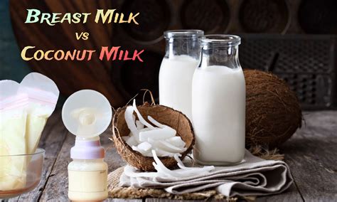 Breast Milk Vs Coconut Milk Which Is Better The Coconut Mama