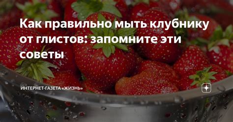 Как правильно мыть клубнику от глистов: запомните эти советы | Интернет ...