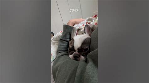 이불귀신 엄마귀신 껌딱지 Youtube