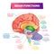 Brain Functions Vector Illustration Labeled Explanation Organ Parts Scheme Stock Vector