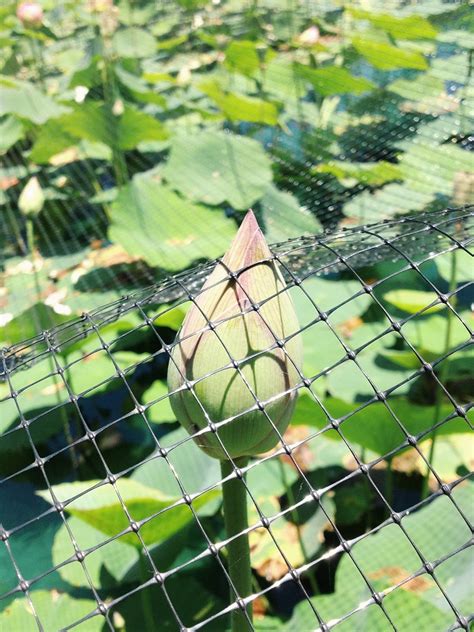 Insta Favs 37 Joyce Kim Ignant