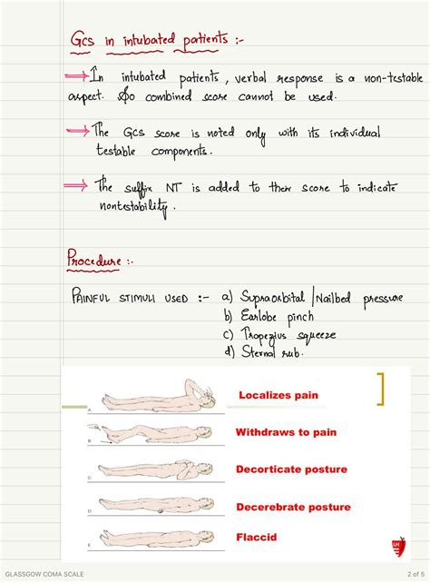 Solution Glassgow Coma Scale Studypool
