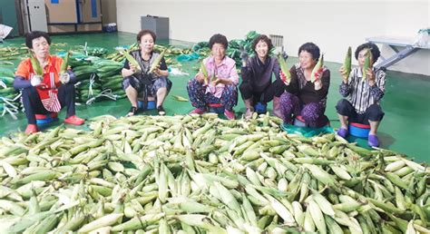 전남 강진군 군동면 화방마을 공동농장운영으로 활력 찾아 위키트리