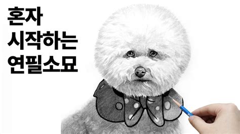 초보자를 위한 털질감 표현을 쉽게 하는 방법 연필소묘 그림독학 pencil drawing YouTube