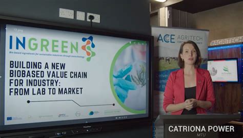 Highlights from the first INGREEN workshop – INGREEN