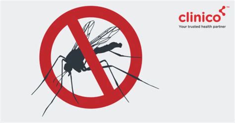Prevent Dengue 5 Effective Tips