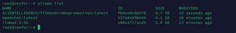How To Install And Use Ollama And OpenWebUI On Your VPS