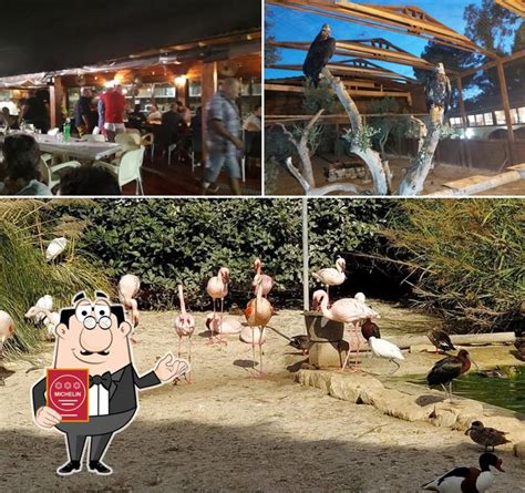 Ta Susina Farmhouse Haz Zebbug Restaurant Menu Prices And Reviews