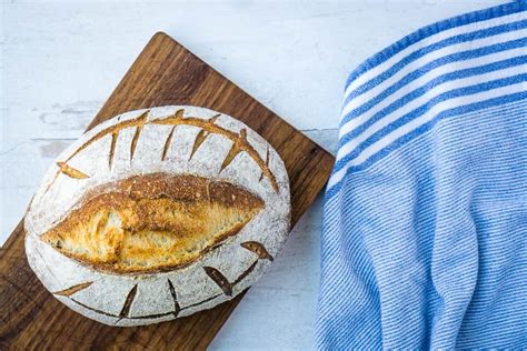 Easy Bread Machine Sourdough Truly Foolproof