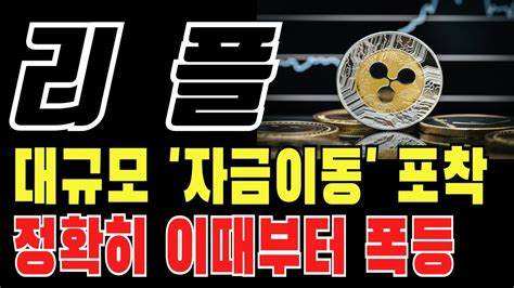 리플 전망 대규모 자금이동 포착 정확히 이때부터 폭등 Youtube