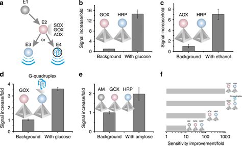 Generality Of The BEH Strategy For Multi Enzyme Cascade On Electrodes A