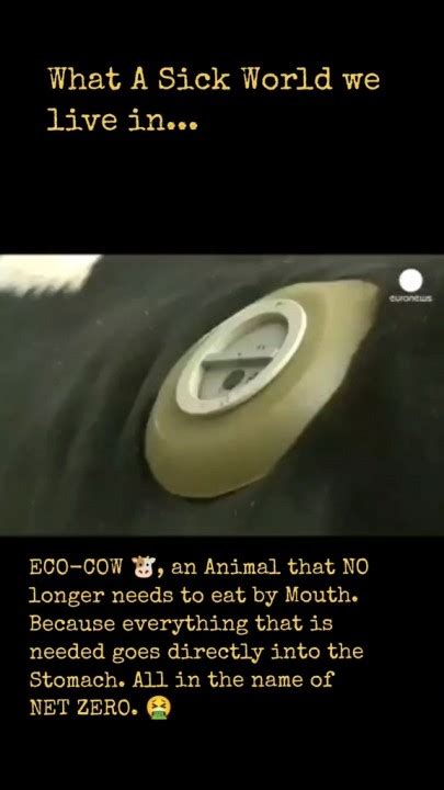 Ashish Saini アシーシ•セニ On Linkedin The Caption Is A False Narrative