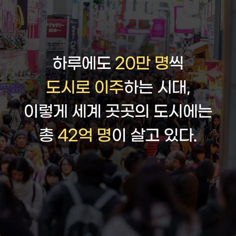 메트로폴리스 알라딘