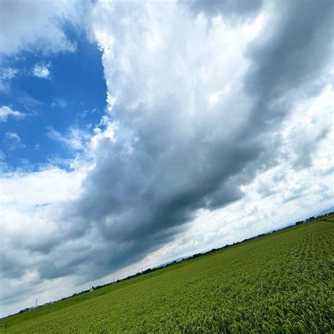 薬に慣れてきた？ うつ病とリウマチとつきあう日記