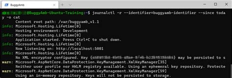 重现崩溃问题并开始进行故障排除 Aspnet Core Microsoft Learn