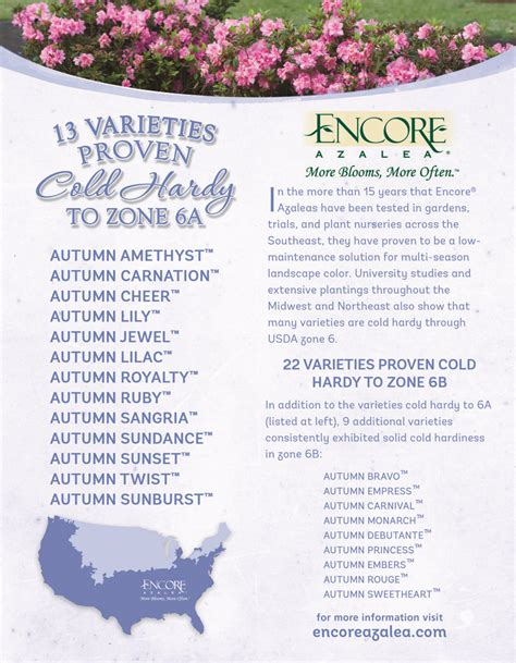 Encore Azalea Coldy Hardy Fact Sheet Azaleas Landscaping Plant