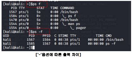 네트워크 기초 실습 11주차 2교시