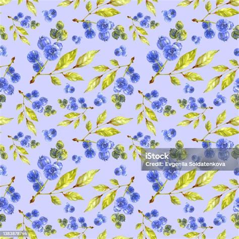 ブルーベリーシームレスプリント水色の背景に緑の葉と果実水彩画のイラスト イラストレーションのベクターアート素材や画像を多数ご用意