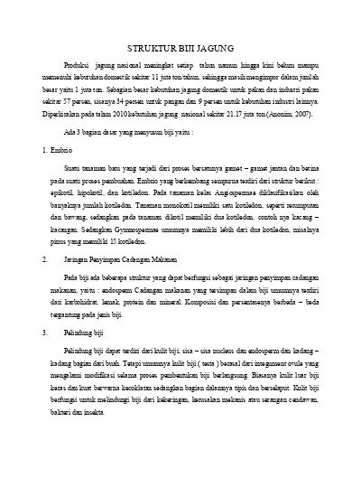 Struktur Biji Jagung Ada 3 Bagian Dasar Yang Menyusun Biji Yaitu 1