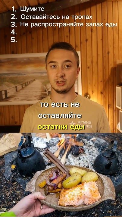 Дикие животные Youtube