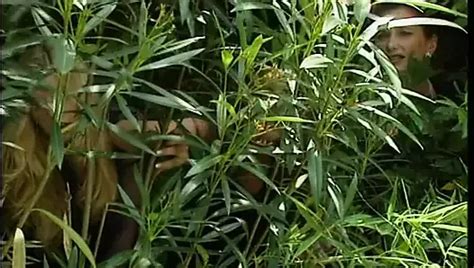 Vintage Pornovideos 12 Xhamster