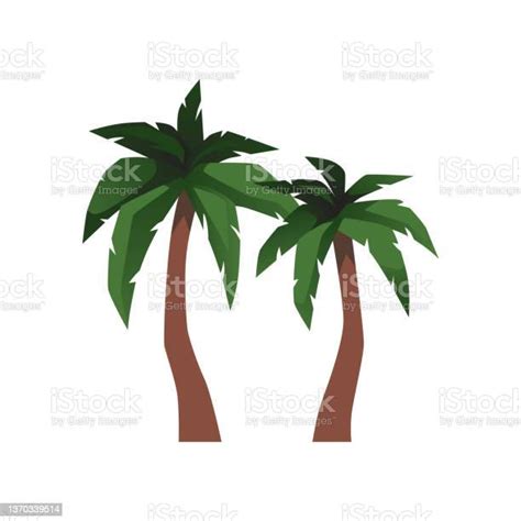 Tropical Palm Trees Flat Vector Illustration Isolated On White