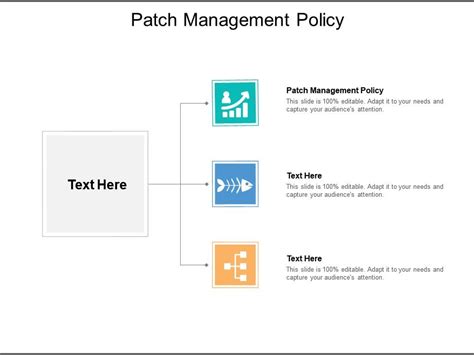 Patch Management Policy Ppt Powerpoint Presentation Summary Tips Cpb