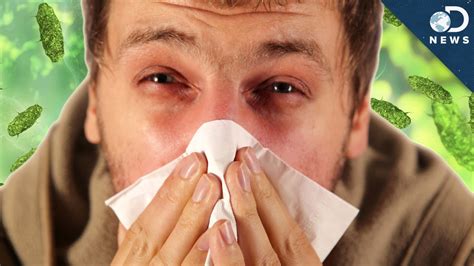 Cold Vs Flu What S The Difference HIGH T3CH