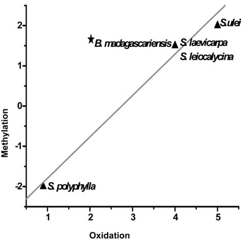 Simplified Phylogeny Of Land Plants Showing Major Clades And Their
