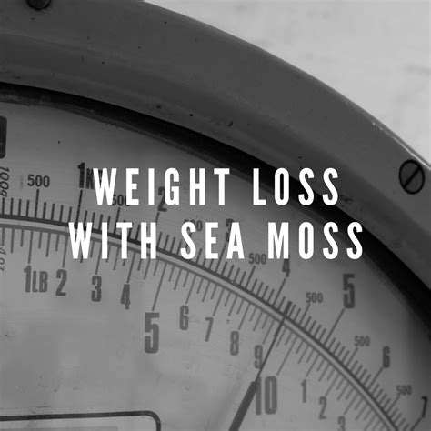 Weight Loss With Sea Moss A Comprehensive Guide Millies Moss