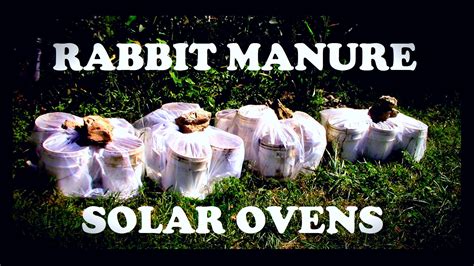 Rabbit Manure Fertilizer Analysis Fasci Garden