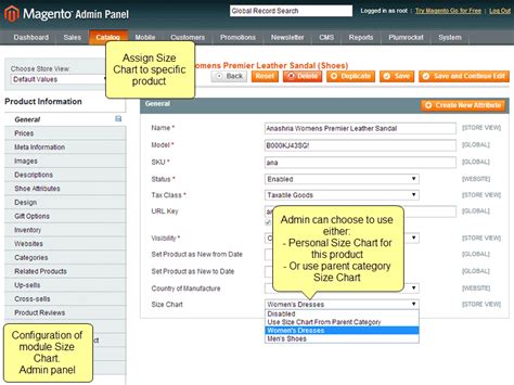 Magento Size Chart V1x Overview Plumrocket Documentation