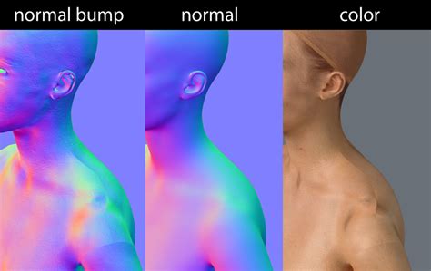 Normal ZBrushCentral