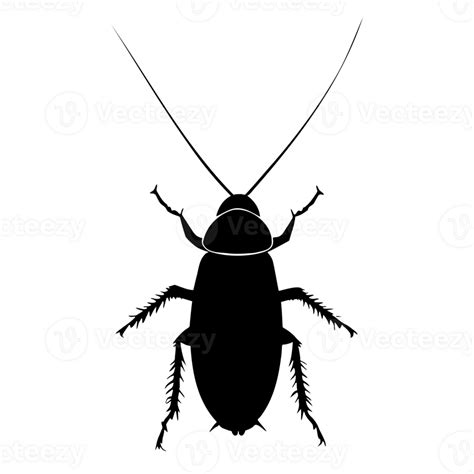 Cockroach Silhouette Isolated 26146456 Png