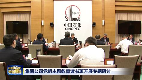 中国石化召开主题教育整改整治工作推进会中国石化网络视频