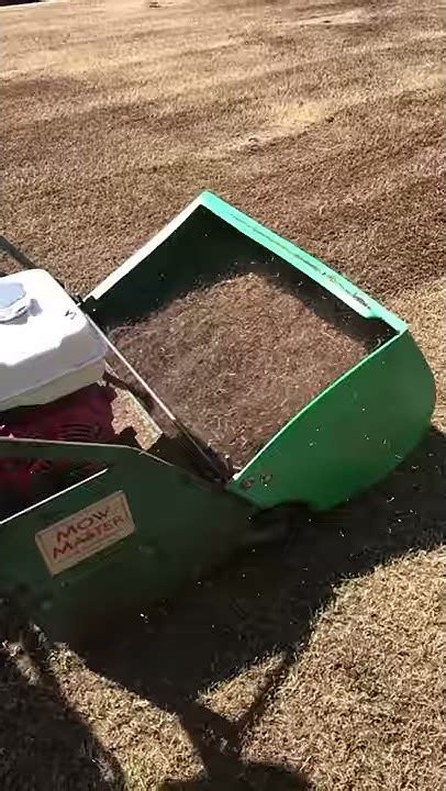 Thatchy Lawn Getting The Vertimowing Treatment Youtube