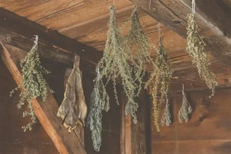 9 Methods Of Food Preservation In Ancient Time That Still Exists Dry