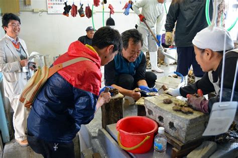 広島大カキ養殖の役割を学ぶ写真 中国新聞デジタル