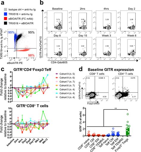 Modulation Of Gitr⁺ T Cells After Trx518 A Hek293 Cells Transfected