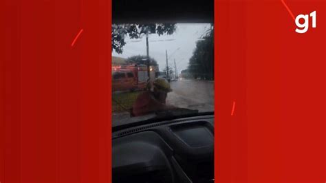Bombeiros amarram carro arrastado por enxurrada em árvore e salvam