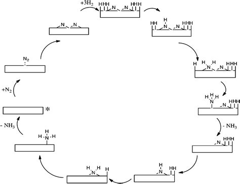 The Integration Of Experiment And Computational Modelling In