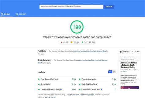 Kombinasi Mantap LiteSpeed Cache Dan Autoptimize WPNesia
