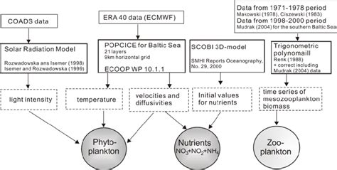 Schematic Diagram Of The Forcing Data And Related State Variables In