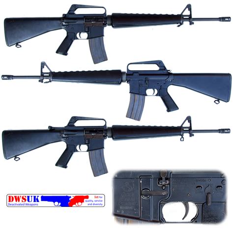 Colt M16a1 556mm Assault Rifle Dwsuk