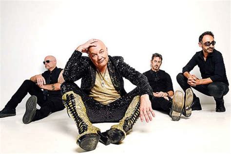 Chocolate Starfish Bayside News