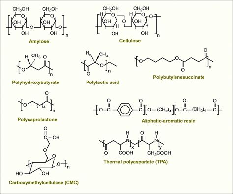 Biodegradable Polymers Examples