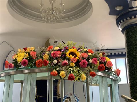 Bella Flor Bella Flor Added A New Photo