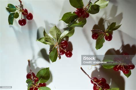 파란색 하이라이트와 그림자흰색 배경에 체리를 구성합니다 클로즈업 위쪽 보기 0명에 대한 스톡 사진 및 기타 이미지 0명