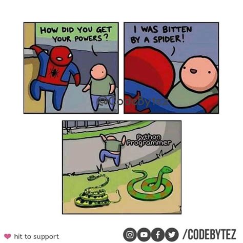 HOW TO BECOME PYTHON PROGRAMMER Programmer Humor Memes Funny Jokes