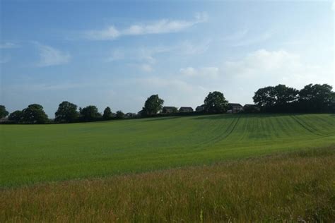 York Field © DS Pugh :: Geograph Britain and Ireland
